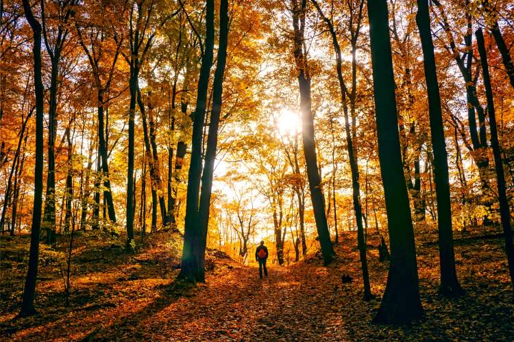 Senior Picture Ideas | Best in 2025 | Classpop!