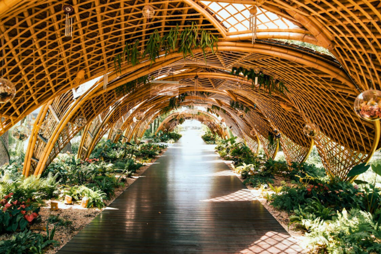 Biophilic Design | Quick Guide | Classpop!