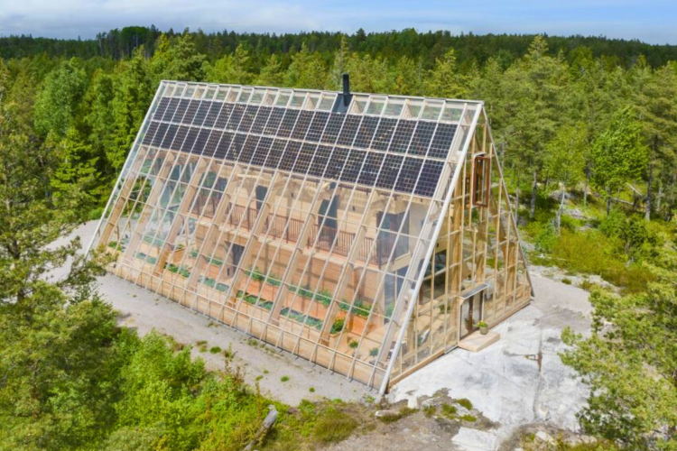 Biophilic Design | Quick Guide | Classpop!