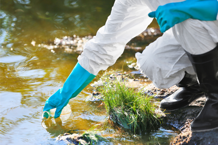 Best Charities To Donate To | Top of the List in 2025 | Classpop!