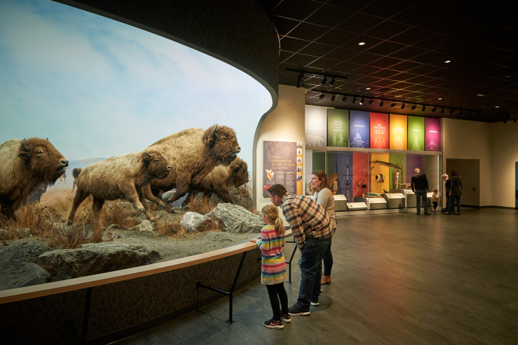 Indoor Activities in Winnipeg | 13 Best in 2025 | Classpop!
