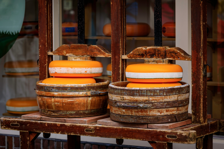 Edam Cheese | Guide in 2025 | Classpop!