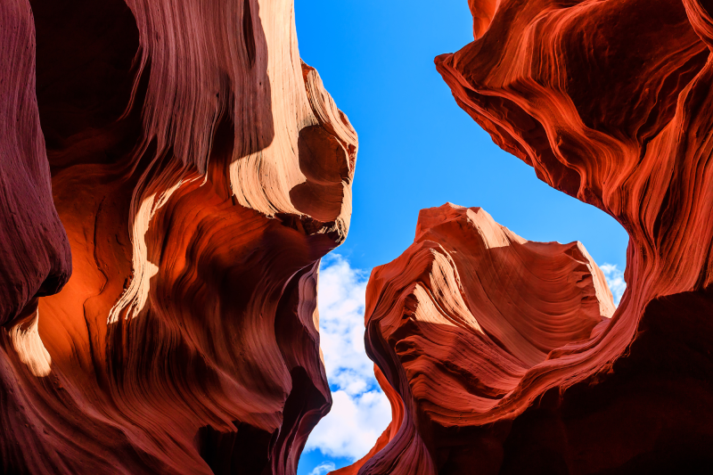 Team Building Activities in Scottsdale | Best in 2025 | Classpop!