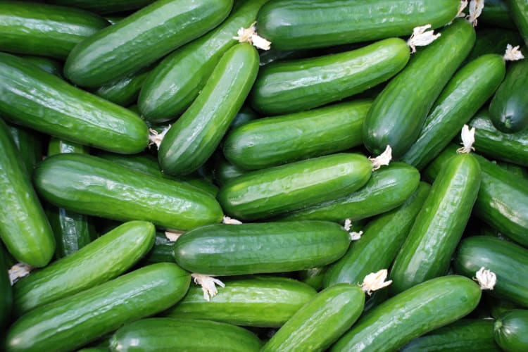 Cucumber Recall 2024 | Cozymeal