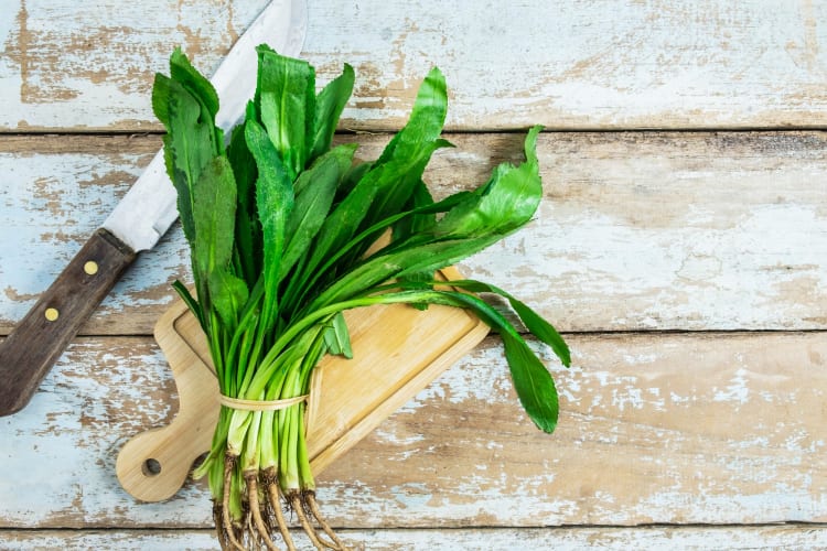 Culinary Guide to Culantro | Cozymeal