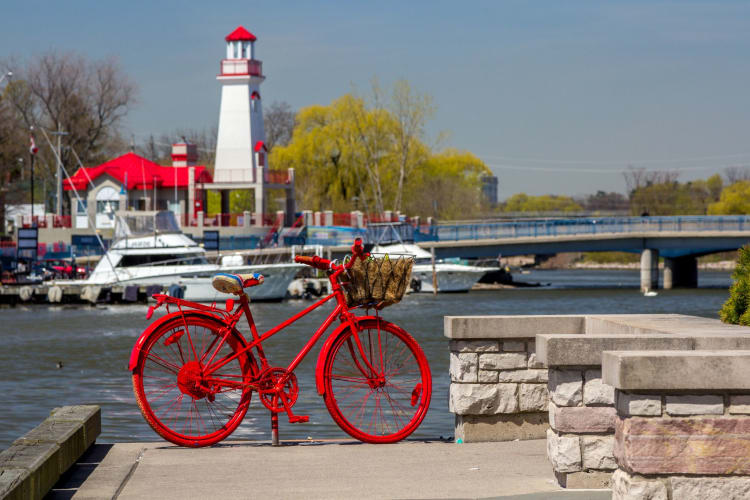 Team Building Activities in Mississauga | 15 Best in 2026 | Cozymeal