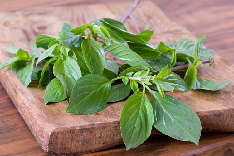 Culinary Guide to Thai Basil | Cozymeal