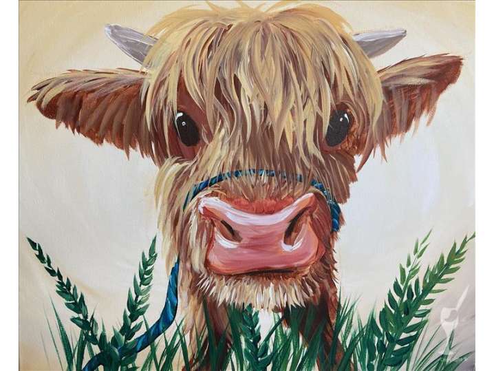 Paint and Sip - A Fluffy, Welcoming Highland Cow - Denver | Classpop!