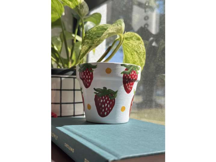 Paint and Sip - Blooming Painted Flower Pots - Orlando | Classpop!