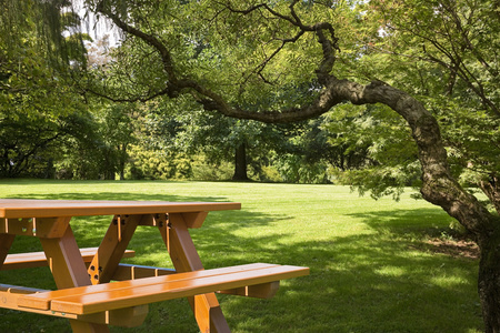 Que faire autour de Roissy Charles de Gaulle| B&B HOTELS