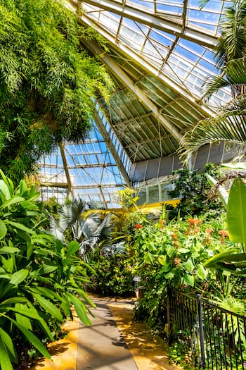 Parc Phoenix de Nice : Guide Complet | B&B HOTELS