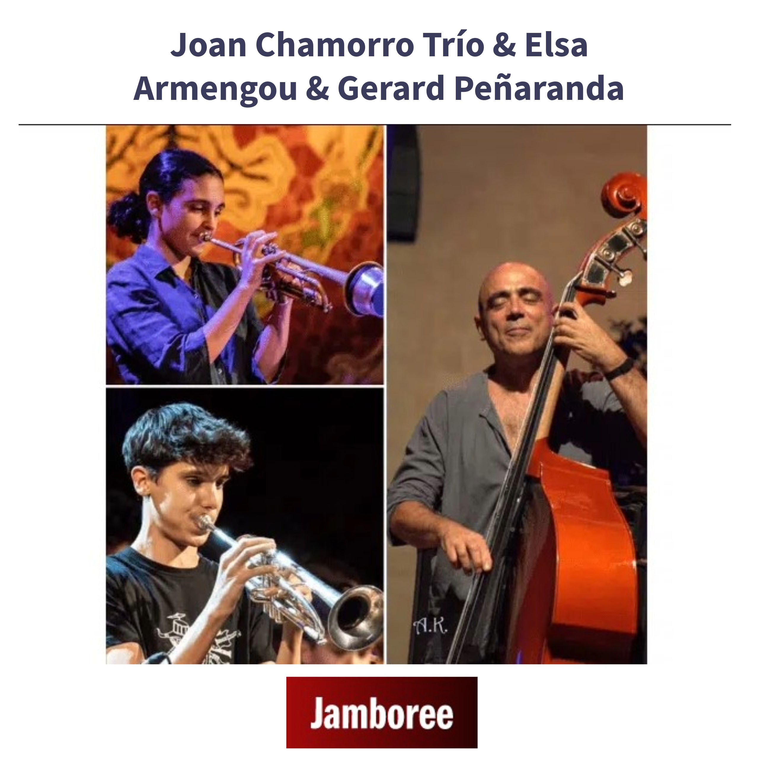 Joan Chamorro - Concerts