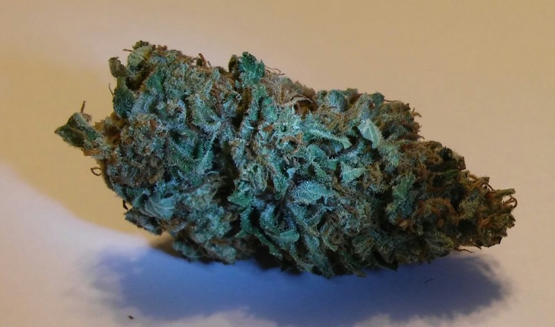 Blue OG | Marijuana Strain Reviews | AllBud Blue OG | Marijuana Strain Reviews | AllBud