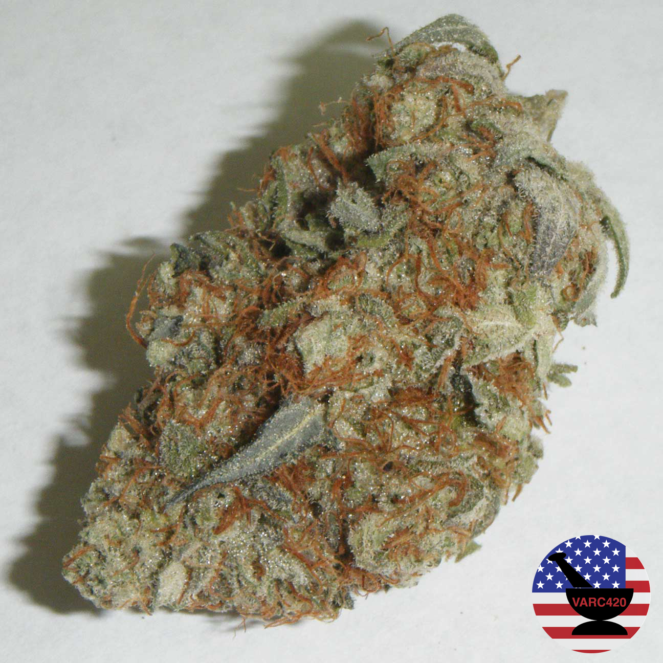 Lemon Alien Dawg | Marijuana Strain Reviews | AllBud Lemon Alien Dawg | Marijuana Strain Reviews | AllBud