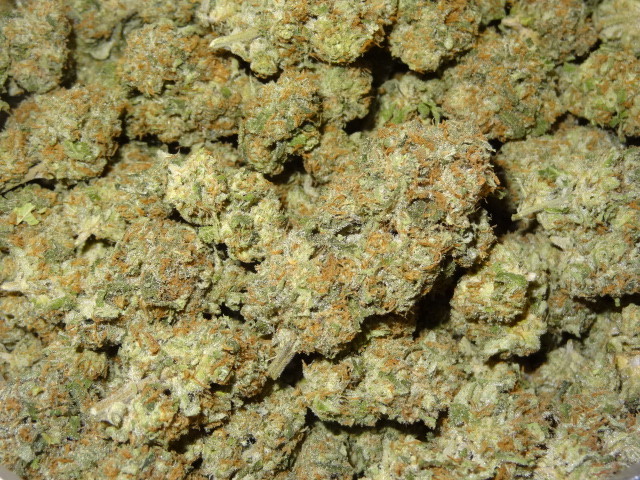 Pluto Kush | Marijuana Strain Reviews | AllBud Pluto Kush | Marijuana Strain Reviews | AllBud
