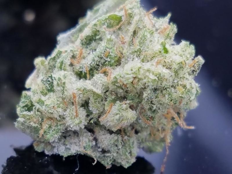 Alien OG | Marijuana Strain Reviews | AllBud