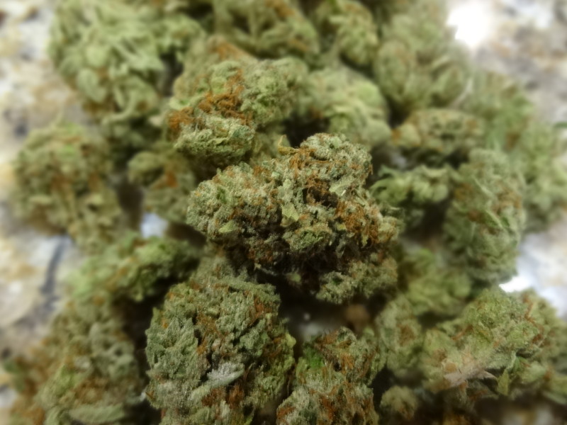 Tahoe OG Kush | Marijuana Strain Reviews | AllBud Tahoe OG Kush | Marijuana Strain Reviews | AllBud