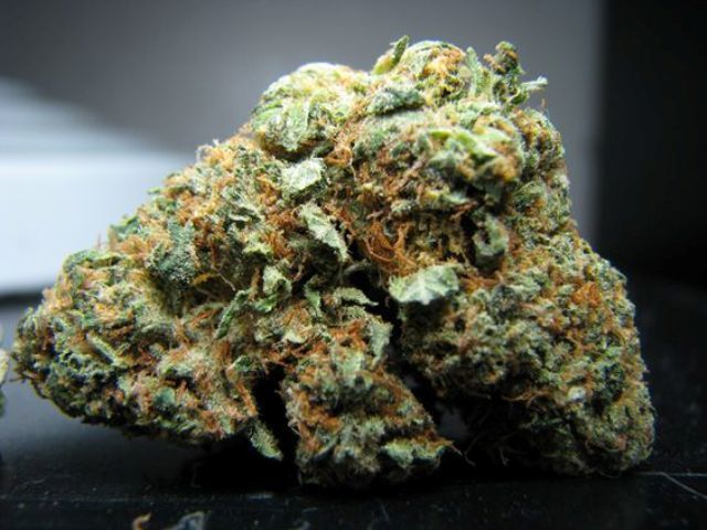 Super OG Master Kush | Marijuana Strain Reviews | AllBud
