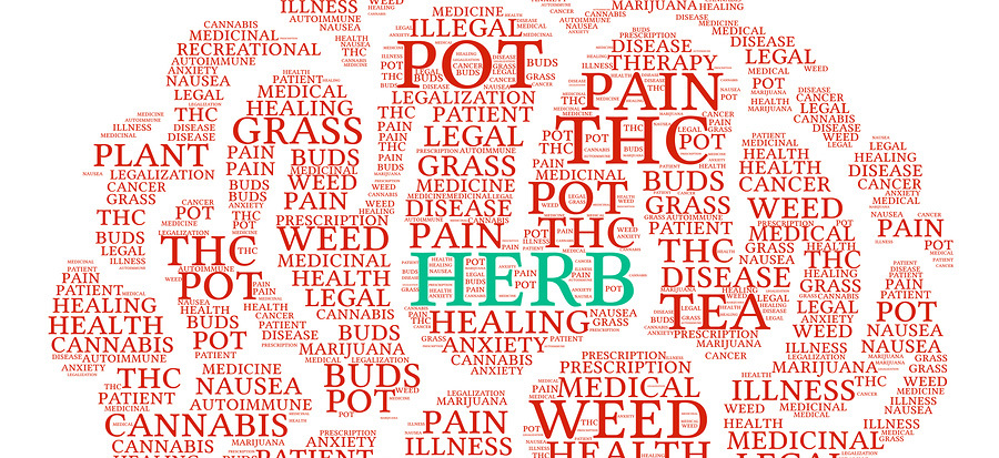 How Cannabis Affects Your Body and Brain | AllBud