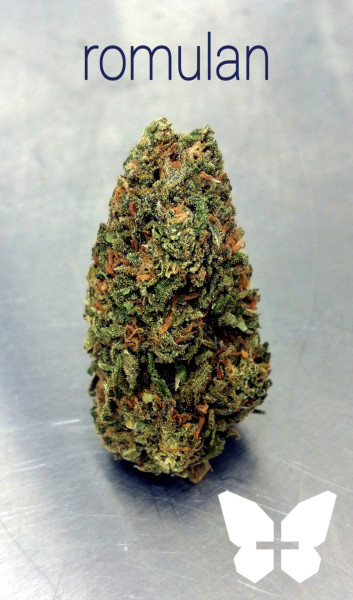 Romulan | Marijuana Strain Reviews | AllBud