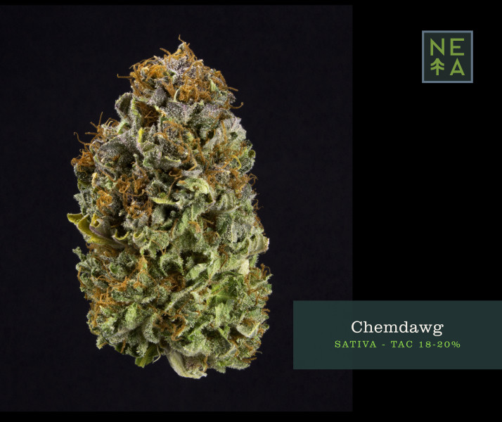 Chemdawg | Marijuana Strain Reviews | AllBud Chemdawg | Marijuana Strain Reviews | AllBud