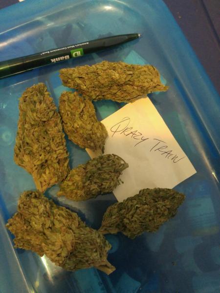 Qrazy Train | Marijuana Strain Reviews | AllBud