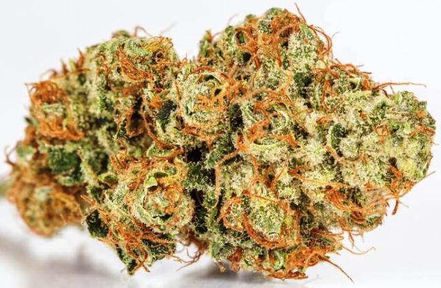 Black Afghani Rose | Marijuana Strain Reviews | AllBud