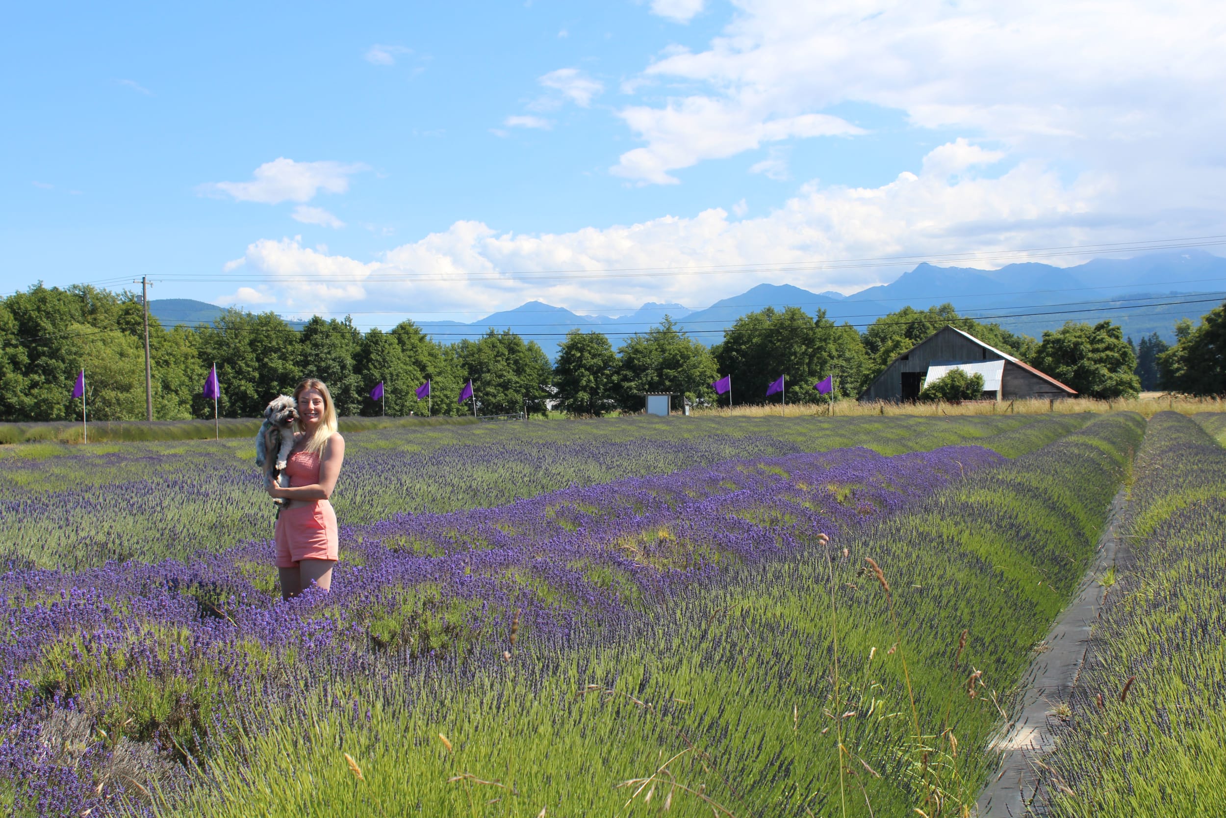 Josephine Rice | Book a Street Artist