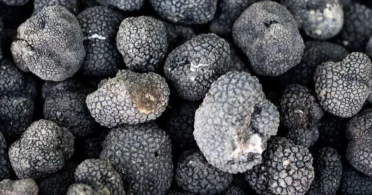 Med smak av tryffel | ICA