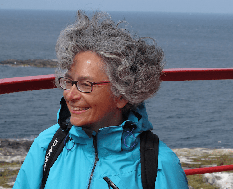 Spokesperson Olga Botner begins second term leading the IceCube ...