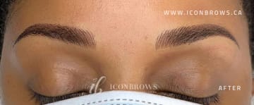 Fusion Brows - Combo Hybrid Microblading & Microshading Brows in ...