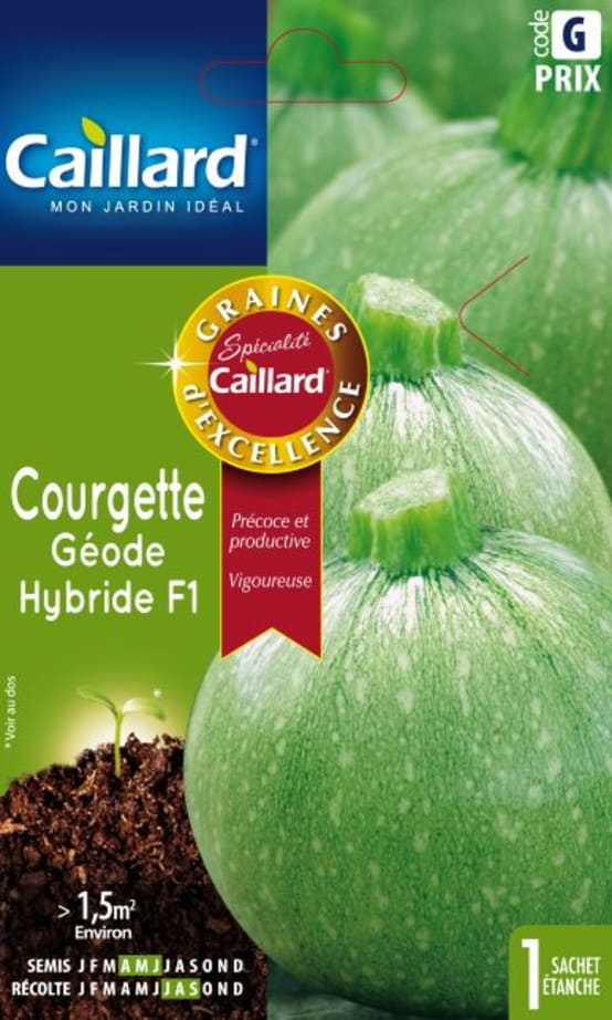 Caillard - Graines de Courgette Géode hybride F1 - Jardiland