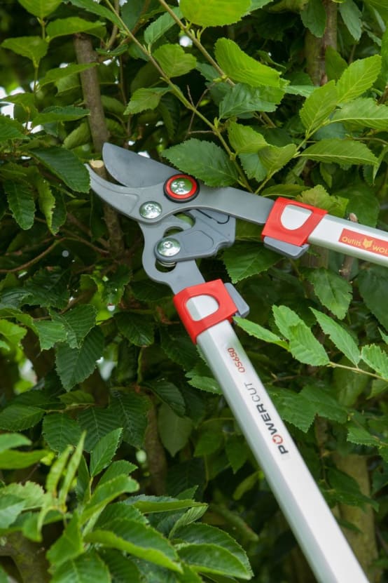 Élagueur confort à coupe franche Powercut L.36 x H.3 cm - Jardiland