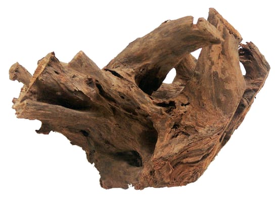 Racine Mangrove Tres Grand Modele - Jardiland