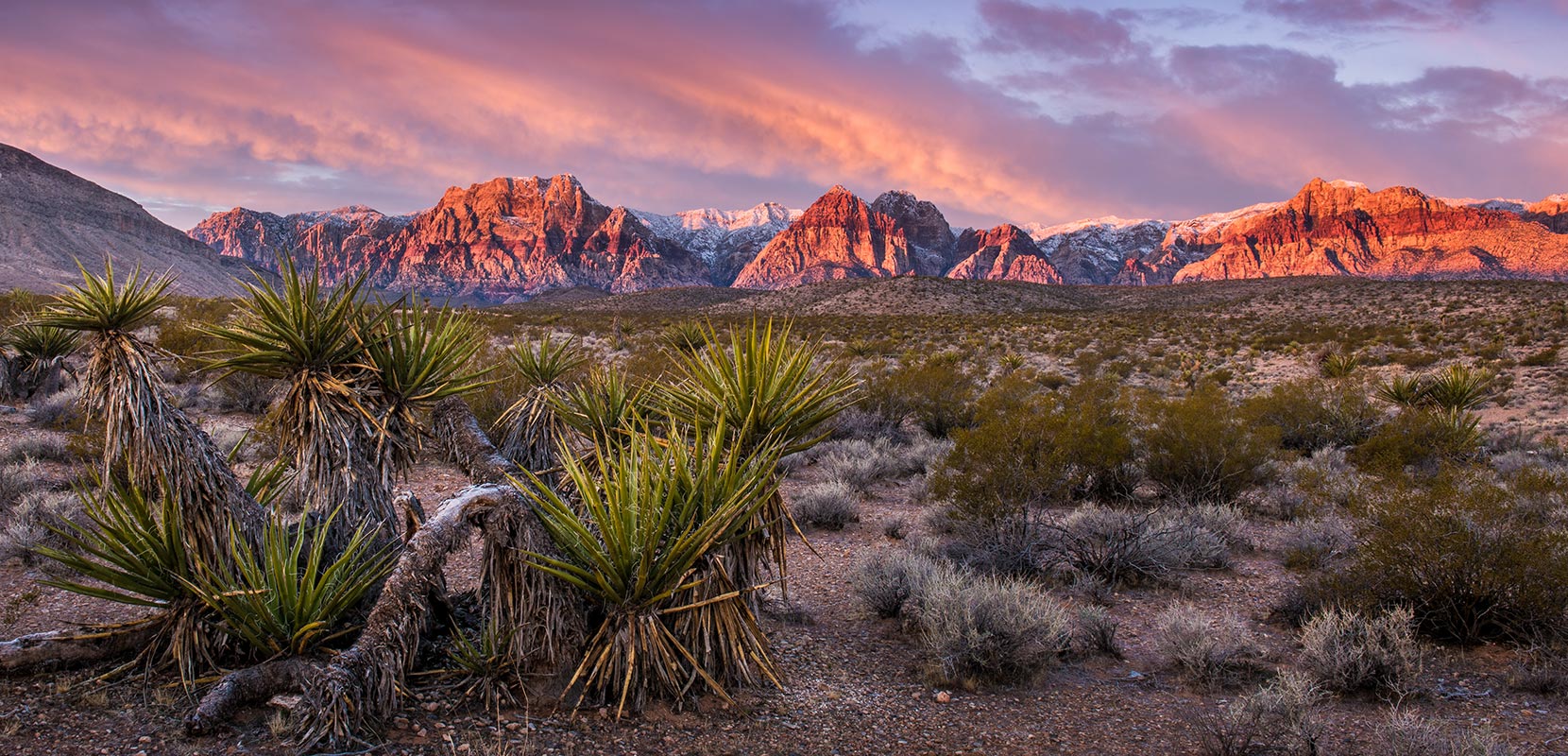 Nevada by If Only…