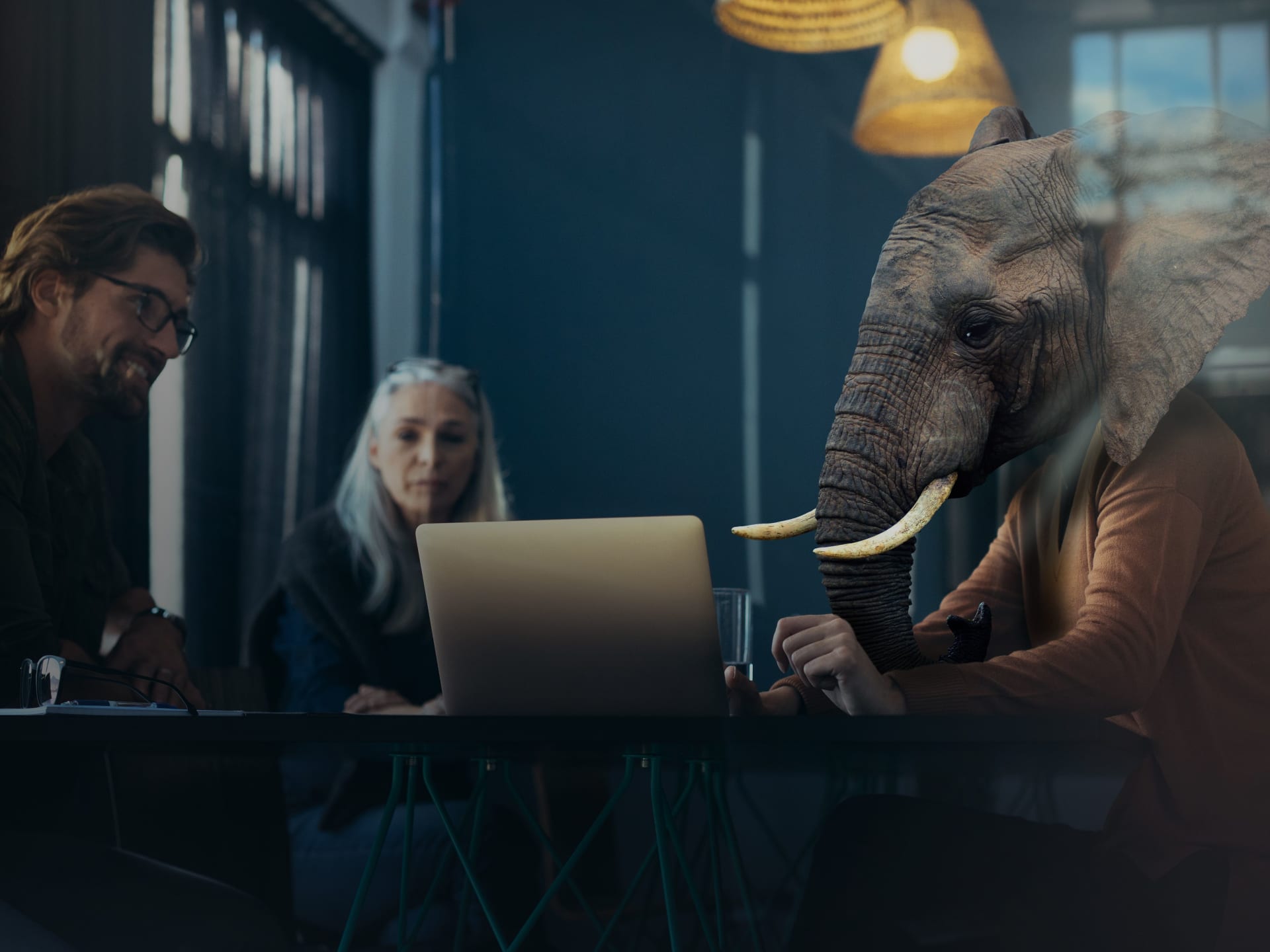 IKUU | Het startpunt voor websites en analytics | IKUU