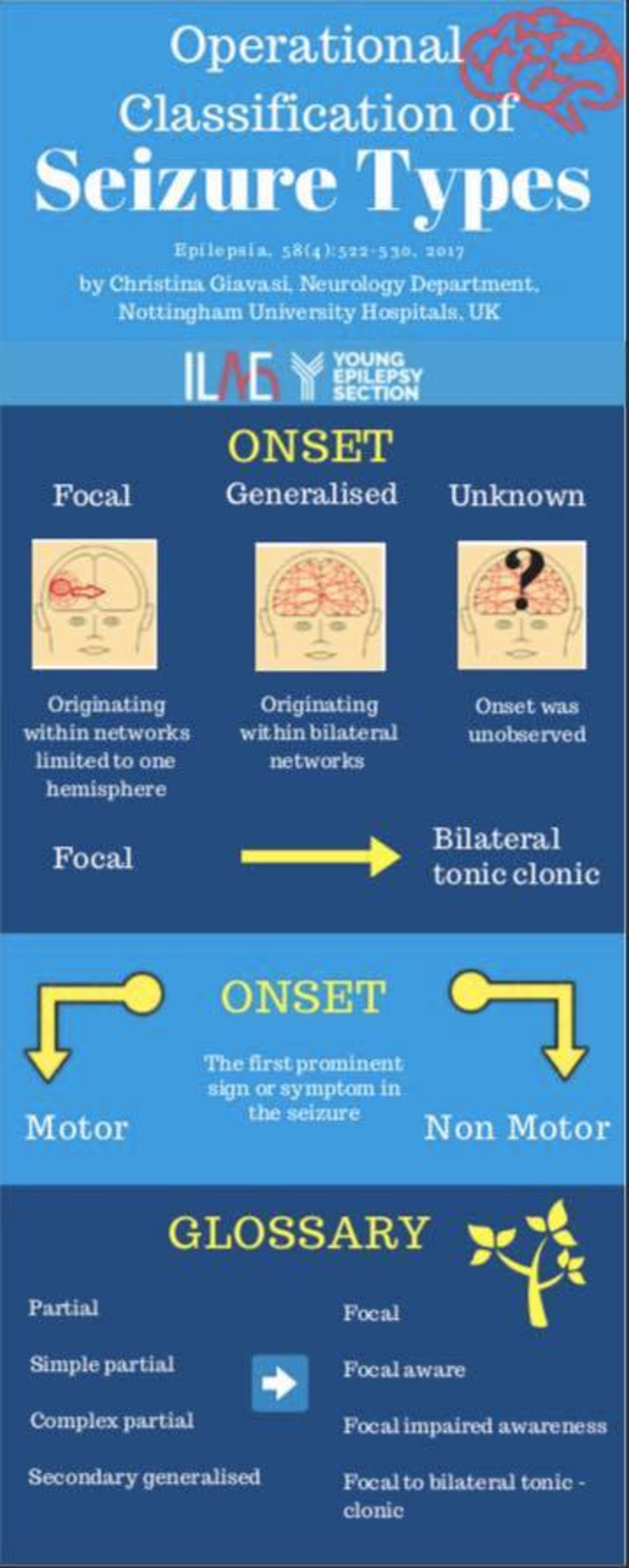 Who Infographics On Epilepsy