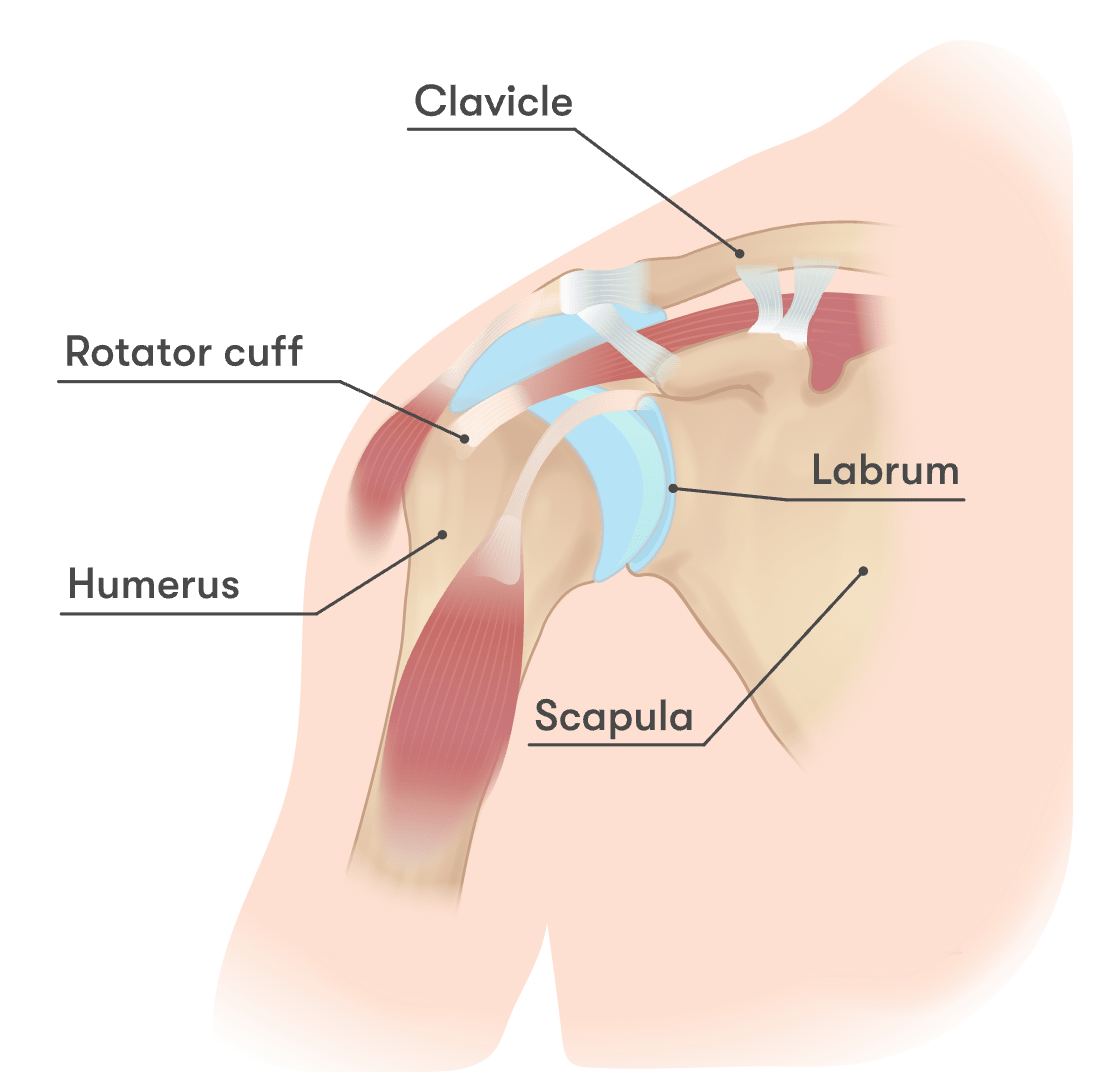Frozen Shoulder 7 Easy Home Exercises For Pain Relief