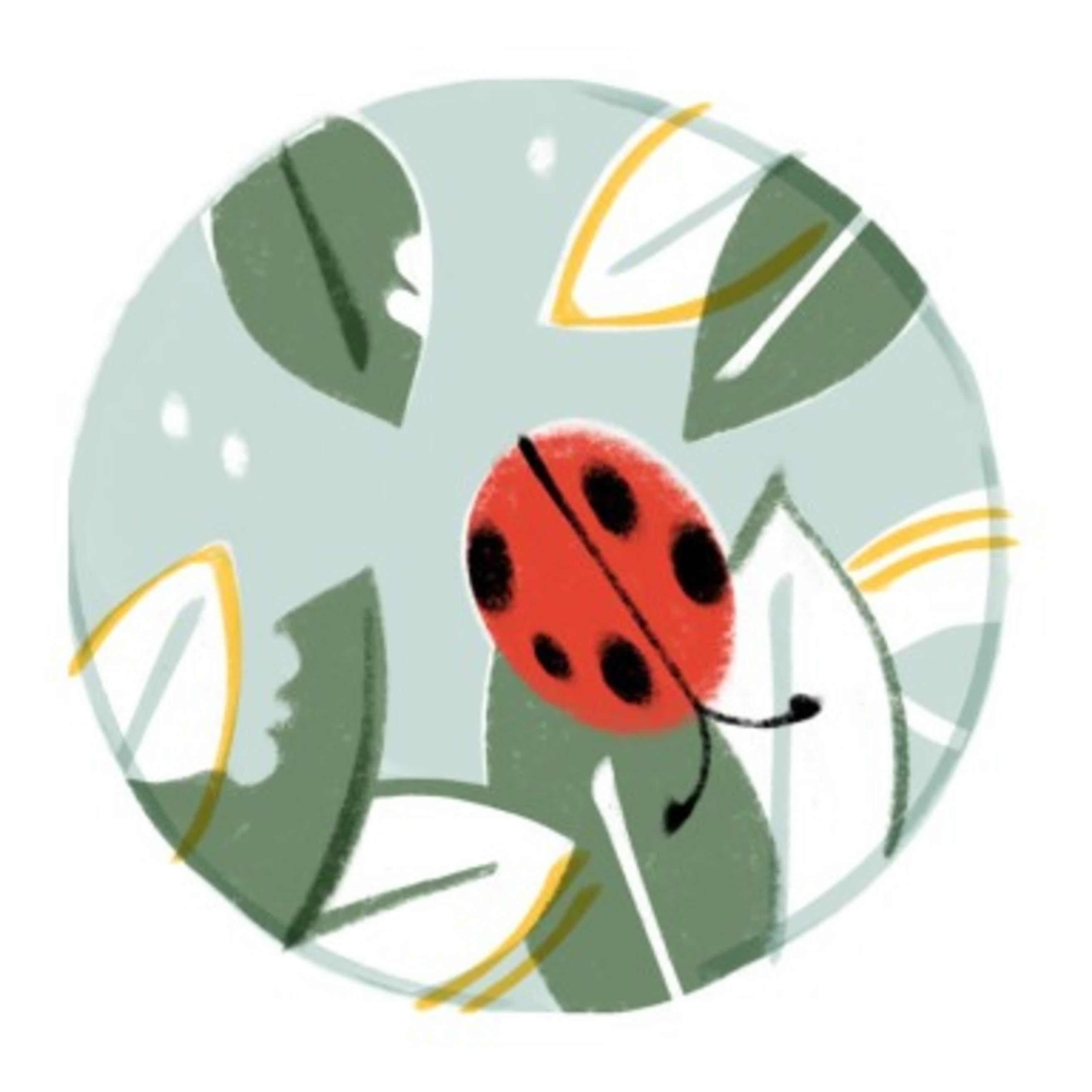 Bug Tracking - Templates | Todoist