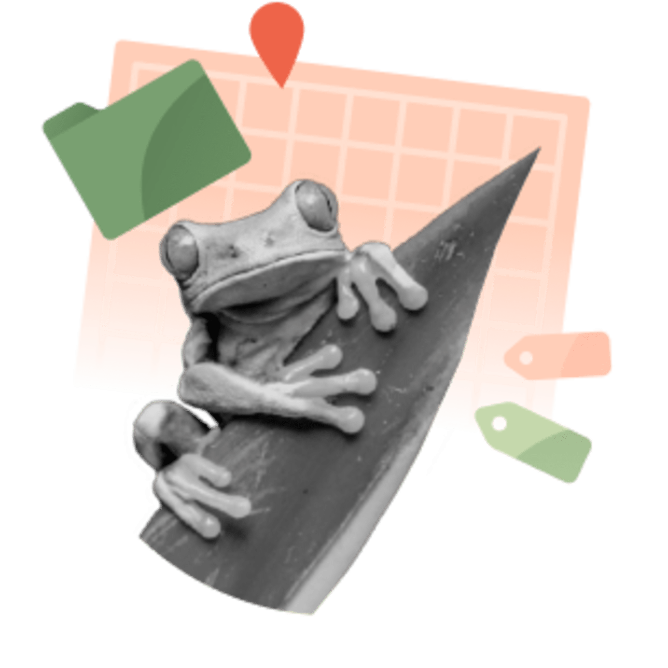 Qu’est-ce que la technique Eat the Frog ? Un système simple pour les ...