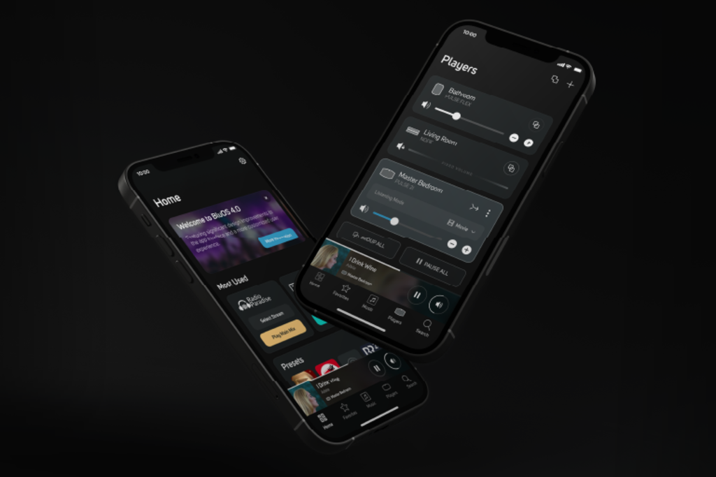BluOS takes on fresh redesign with mobile app update - Hiddenwires Magazine