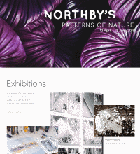 Art Gallery Patterns of Nature - Impact One - Web Design