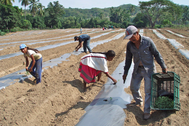 Help save small family farms in Mexico! | Indiegogo