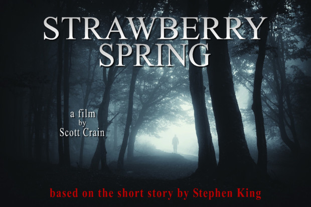Strawberry Spring | Indiegogo