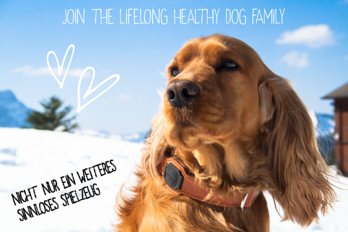 DogsSense: Do you have the Dogs' Sense? Go get it! | Indiegogo