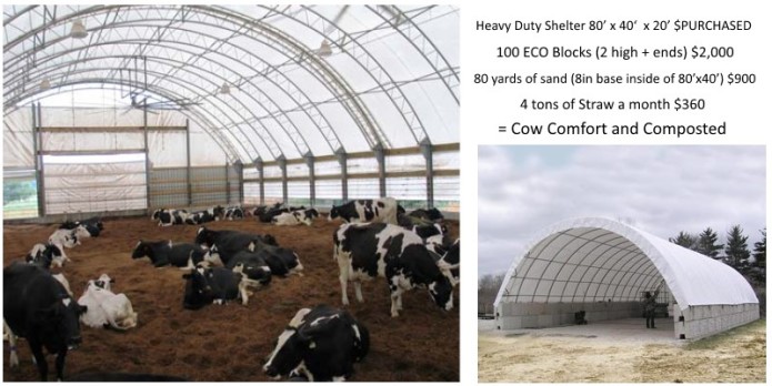 Bossy Acres Raw Milk Pasture Based Dairy Farm | Indiegogo