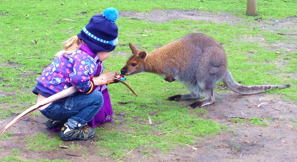 The Nature Connection Pyramid | Indiegogo