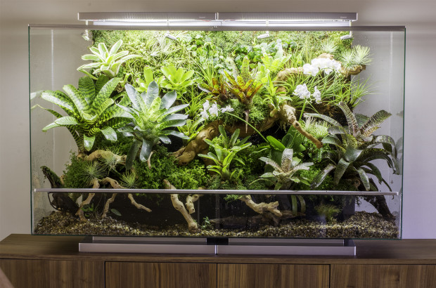 Biopod - World's First Smart Microhabitat | Indiegogo