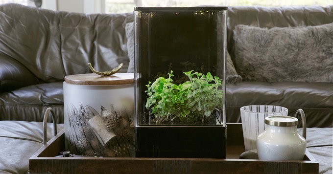 EcoQube Air - The World's First Desktop Greenhouse | Indiegogo