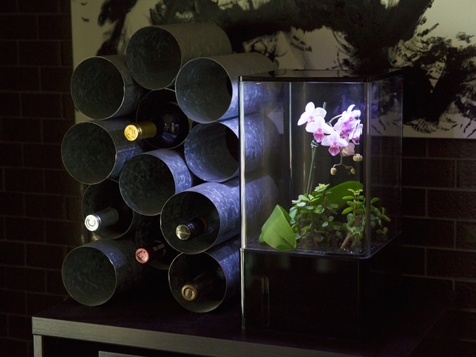 EcoQube Air - The World's First Desktop Greenhouse | Indiegogo